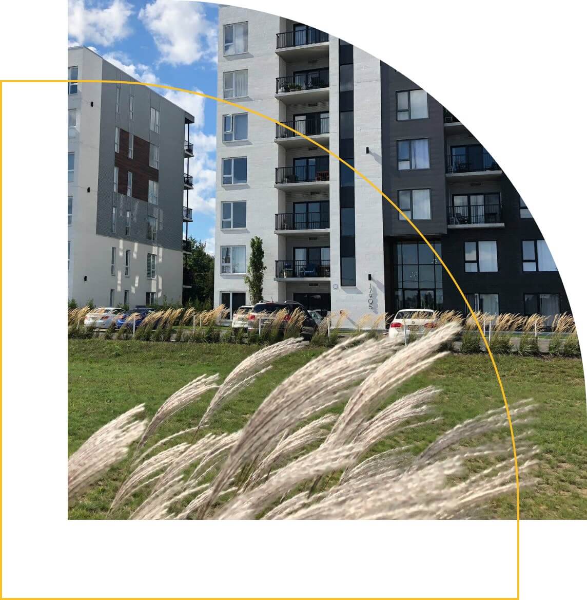 News - Danam Lacourse